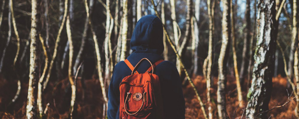 What I Need in a Broken, Dysfunctional World - Yellowstone Theological ...